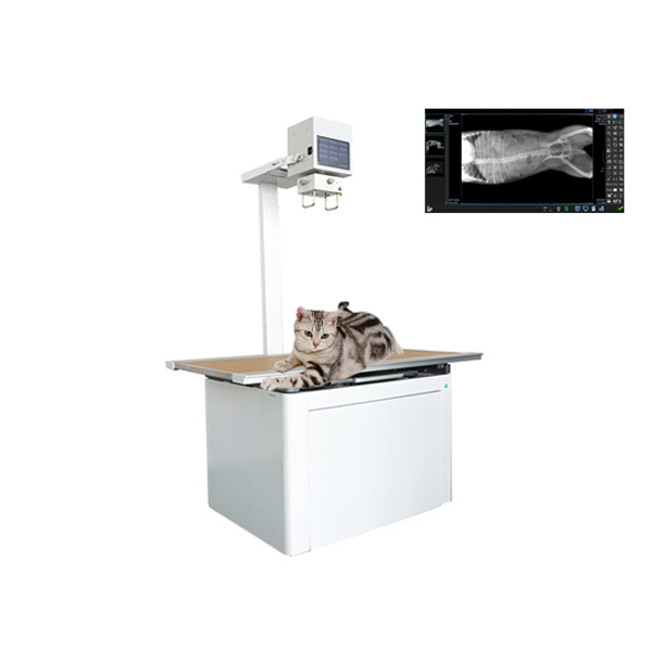 Veterinary diagnostic X-ray machine - Weifang Newheek Electronic Tech ...